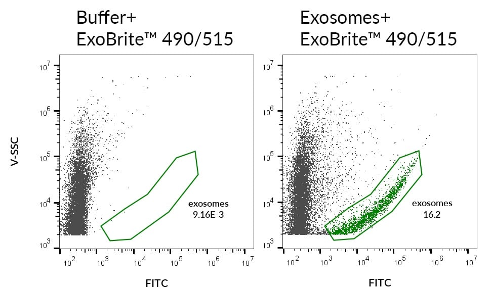 Biotium Launches Optimized Solution For Exosome Detection By Flow Cytometry Exosome Rna